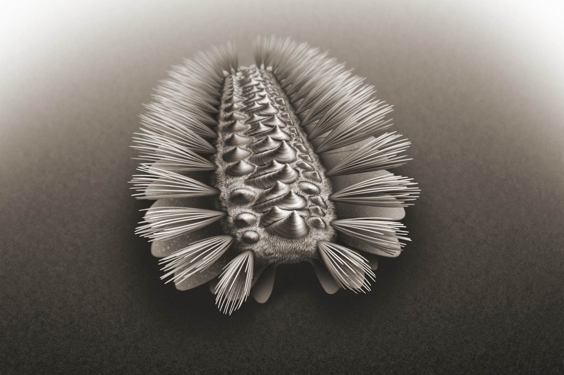 Armoured worm reveals the ancestry of three major animal groups ...