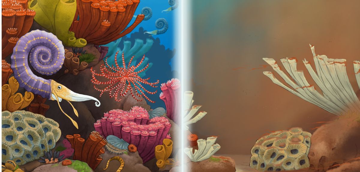 New study reveals insight into which animals are most vulnerable to ...