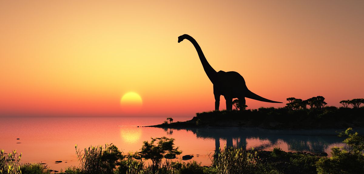 Fossil plankton may be the key to understanding prehistoric climate ...